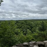 Raven Rock Loop Trail, North Carolina - 2,627 Reviews, Map | AllTrails
