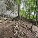 Raven Rock Loop Trail, North Carolina - 2,627 Reviews, Map | AllTrails
