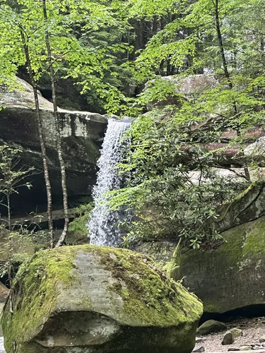 Best Waterfall Trails in Gray Hawk | AllTrails
