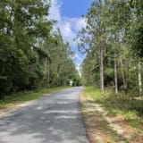 Cross Florida Greenway Trail: Santos to CR 200, Florida - 746 Reviews ...