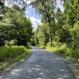 Cross Florida Greenway Trail: Santos to CR 200, Florida - 746 Reviews ...
