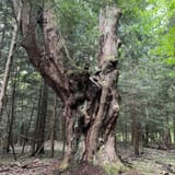 Sprague Brook Park Trail, New York - 1,368 Reviews, Map | AllTrails