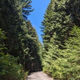 Mount Fromme via St. Georges Trail, British Columbia, Canada - 1,264 ...