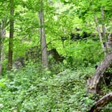 Alberton Road Trail, Maryland - 1,405 Reviews, Map | AllTrails