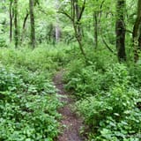 Alberton Road Trail, Maryland - 1,284 Reviews, Map | AllTrails