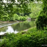 Alberton Road Trail, Maryland - 1,284 Reviews, Map | AllTrails
