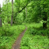 Alberton Road Trail, Maryland - 1,284 Reviews, Map | AllTrails
