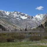 Cub Lake Loop, Colorado - 2,093 Reviews, Map | AllTrails