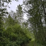 Centennial Trail via Getchell Trailhead, Washington - 483 Reviews, Map ...