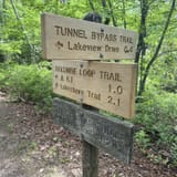 Goldmine Loop Trail, North Carolina - 840 Reviews, Map | AllTrails