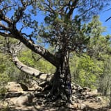 Fatmans Loop Trail, Arizona - 5,226 Reviews, Map | AllTrails