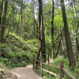 Lower Macleay Park to Pittock Mansion, Oregon - 4,356 Reviews, Map ...