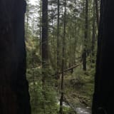 Tanbark Trail and Tin House Loop, California - 1,411 Reviews, Map ...