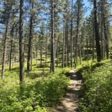 Squilchuck State Park Loop, Washington - 218 Reviews, Map | AllTrails
