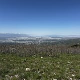 Big Beacon Mount Wire Trail, Utah - 1,579 Reviews, Map | AllTrails