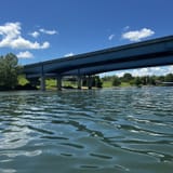 South Fork Holston River Paddle Route, Tennessee - 12 Reviews, Map ...