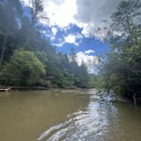 Cartecay River Loop Trail, Georgia - 2,127 Reviews, Map | AllTrails