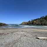 Salt Point Trail to Stump Beach, California - 755 Reviews, Map | AllTrails