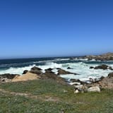 Salt Point Trail to Stump Beach, California - 755 Reviews, Map | AllTrails