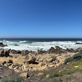 Salt Point Trail to Stump Beach, California - 755 Reviews, Map | AllTrails