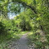 Five Mile Trail, New York - 1,473 Reviews, Map | AllTrails