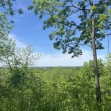 Emma Carlin Trails: Green Loop, Wisconsin - 411 Reviews, Map | AllTrails