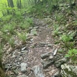Bear Mountain Trail, Connecticut - 3,372 Reviews, Map | AllTrails