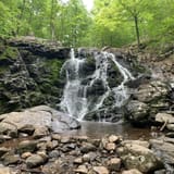 Ramapo Reservation Loop Trail, New Jersey - 1,723 Reviews, Map | AllTrails