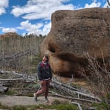 Turtle Rock Loop Trail, Wyoming - 1,161 Reviews, Map | AllTrails