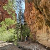 Spring Creek Canyon, Utah - 1,289 Reviews, Map | AllTrails