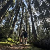 Red Spruce Knob, West Virginia - 234 Reviews, Map | AllTrails