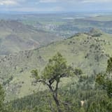 Colorow Mountain Forest and Meadow Loop Trail, Colorado - 595 Reviews ...