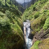 Oneonta Trail and Gorge Trail (Short Option), Oregon - 1,083 Reviews ...