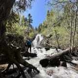 Hunter Creek Trail, Nevada - 4,534 Reviews, Map | AllTrails