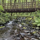 Wilson River Trail, Oregon - 27 Reviews, Map | AllTrails