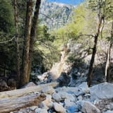Big Falls Trail, California - 1,058 Reviews, Map | AllTrails