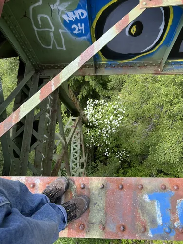 Best Forest Trails in Matlock | AllTrails