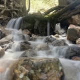 Neff's Canyon Loop, Utah - 2,554 Reviews, Map | AllTrails