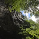 Buggytop Trail to Lost Cove Cave, Tennessee - 773 Reviews, Map | AllTrails