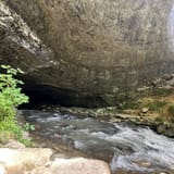 Buggytop Trail to Lost Cove Cave, Tennessee - 773 Reviews, Map | AllTrails