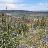 Mount Morrison Trail, Colorado - 5,855 Reviews, Map | AllTrails