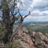 Mount Morrison Trail, Colorado - 5,855 Reviews, Map | AllTrails