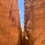 Navajo Loop Trail, Utah - 3,811 Reviews, Map | AllTrails