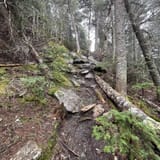 Imp Trail, New Hampshire - 415 Reviews, Map | AllTrails