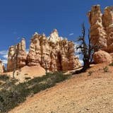 Navajo Loop Trail, Utah - 3,811 Reviews, Map | AllTrails