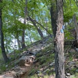 North Point and Pitching Point Loop, New York - 1,618 Reviews, Map ...