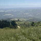 Windy Hill Loop, California - 3,172 Reviews, Map | AllTrails