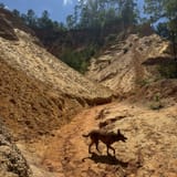 Red Bluff, Mississippi - 446 Reviews, Map | AllTrails