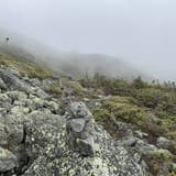 Mount Madison Via Madison Gulf Trail, New Hampshire - 123 Reviews, Map ...