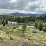 Hummocks Trail, Washington - 1,026 Reviews, Map | AllTrails